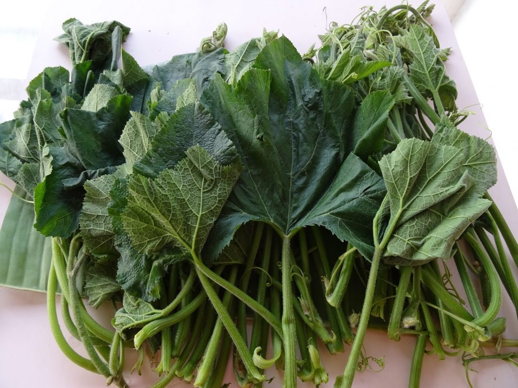 Common Nigerian Leafy Vegetables and Their Benefits - HealthFacts NG